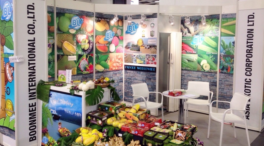 About Us – Asia Exotic Corporation Limited