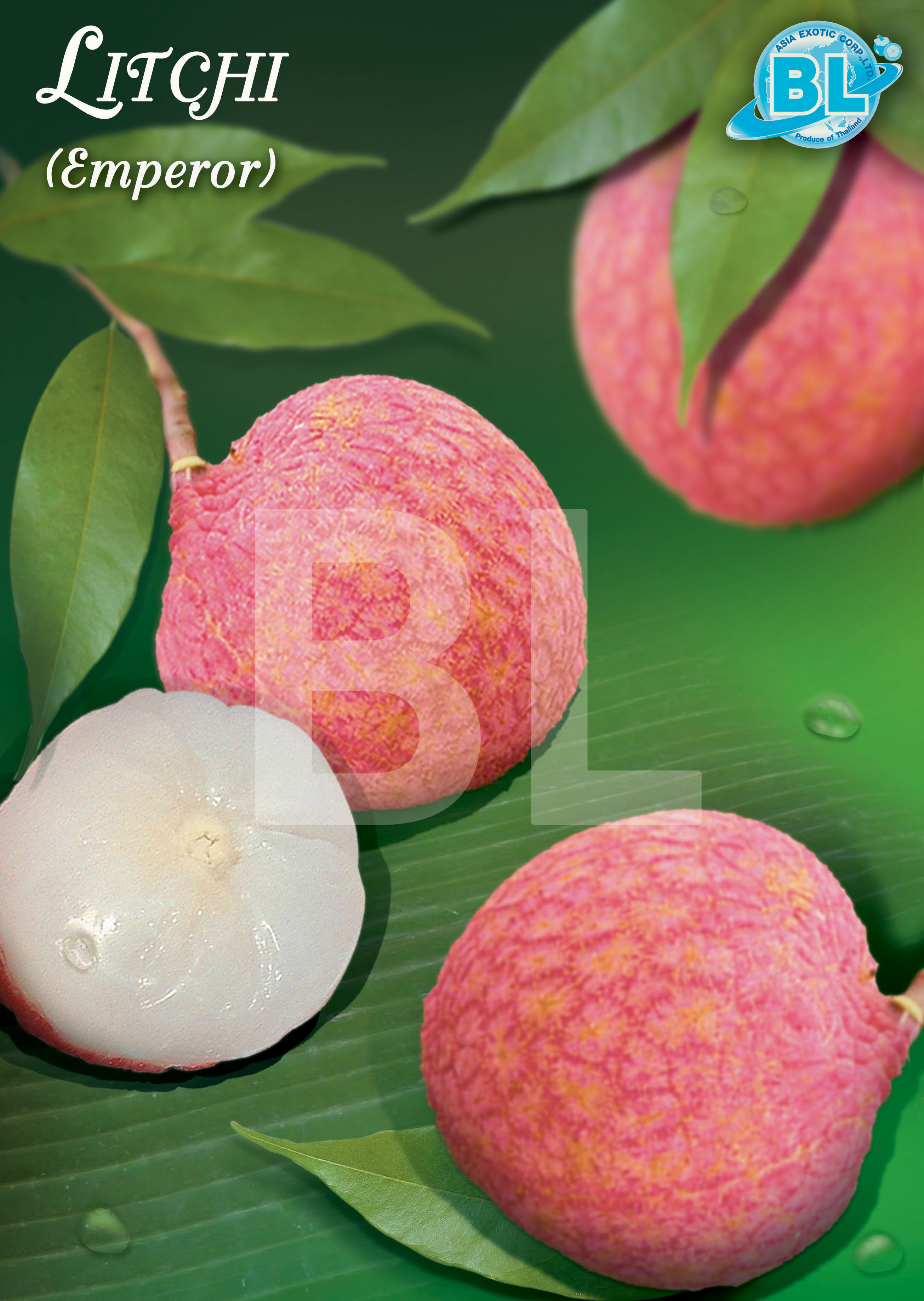 Lychee – Asia Exotic Corporation Limited