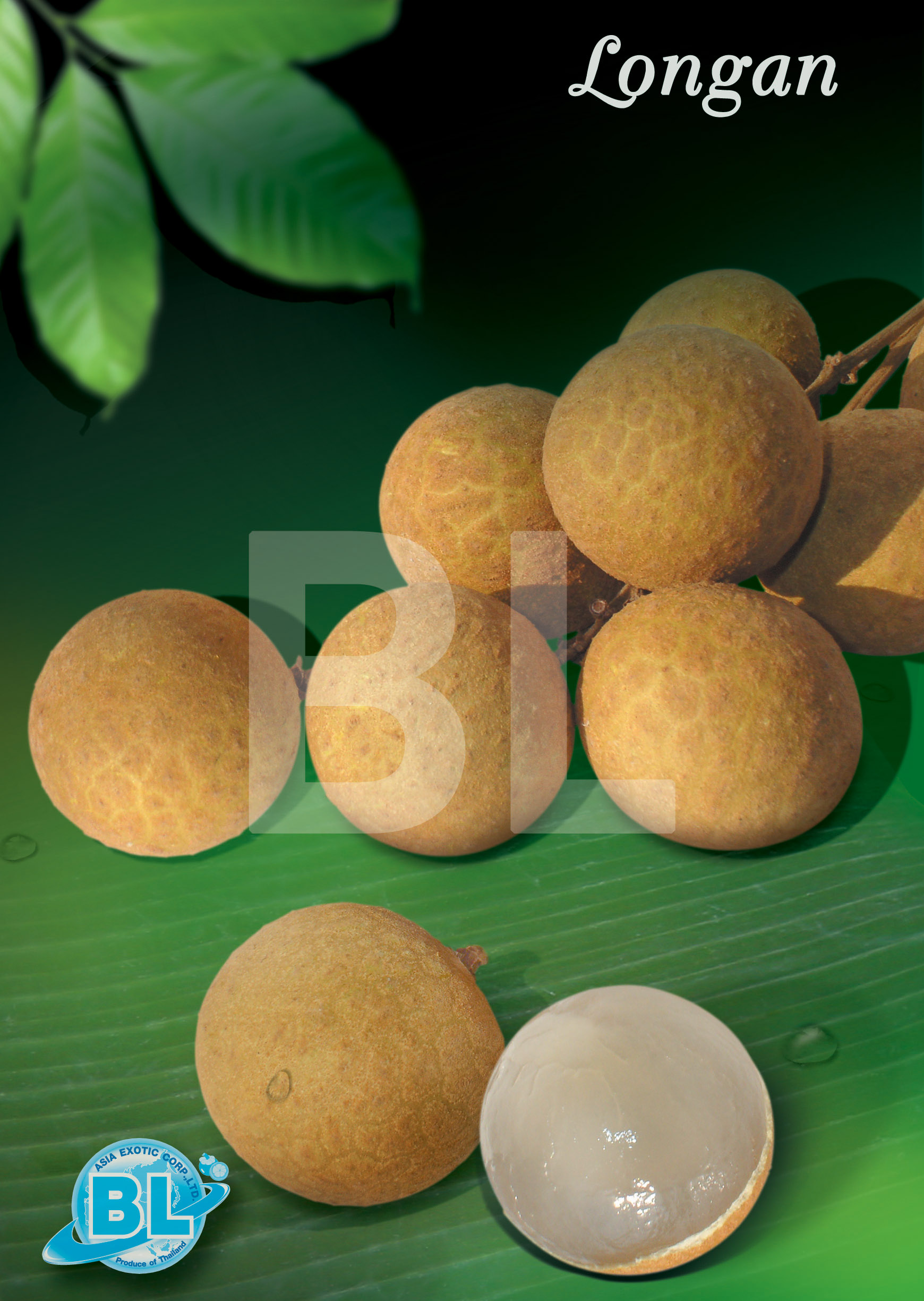 Longan – Asia Exotic Corporation Limited
