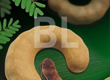 Fruits transportation by Sea – Asia Exotic Corporation Limited