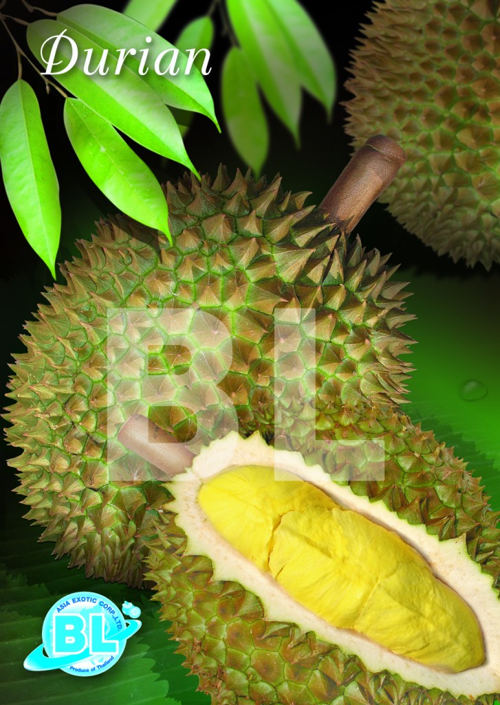 Durian – Asia Exotic Corporation Limited