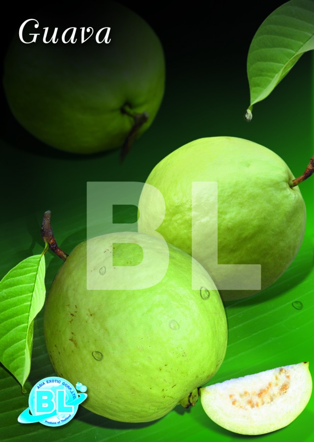 Guava – Asia Exotic Corporation Limited