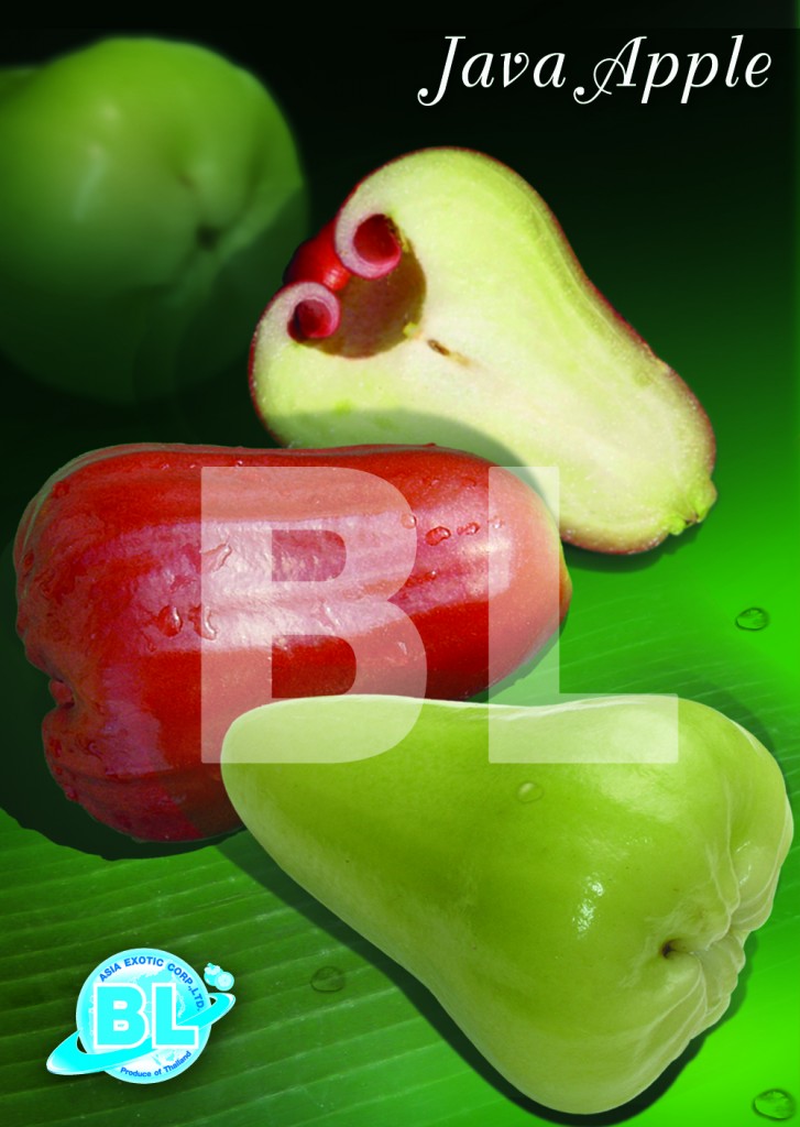 Java Apple – Asia Exotic Corporation Limited
