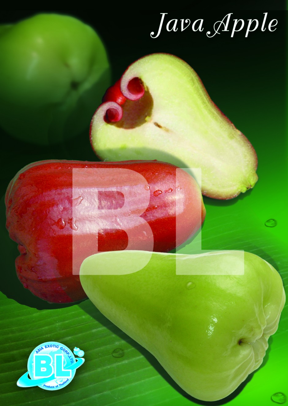 Java Apple – Asia Exotic Corporation Limited